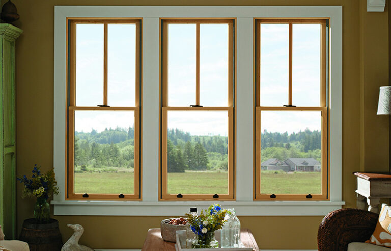 Window Replacement Knoxville TN - EcoView Windows & Doors of Knoxville